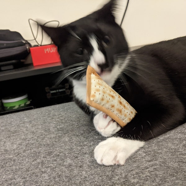 Catnip Toys, Year of the Pig Cat Toy, Pig Pillows, No Fur Cat Toys ...