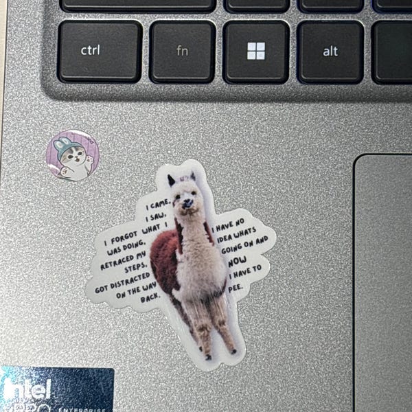 Medical Alert Card, Medical ID Card, Personalized Medical Alert ...