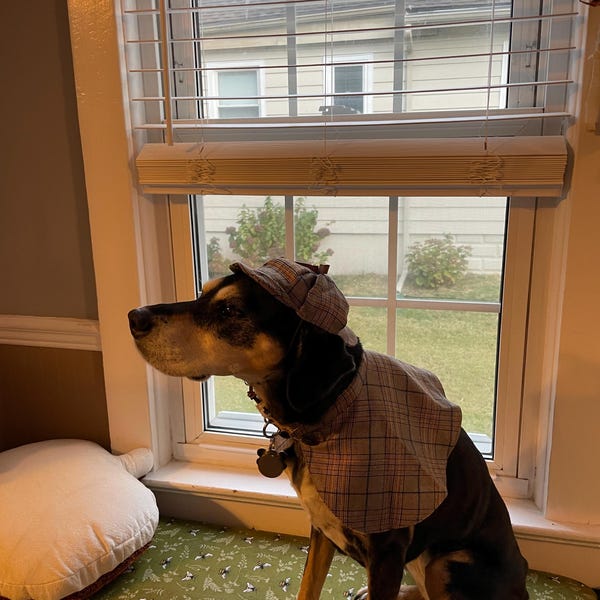 Dog Detective Costume Halloween, Deerstalker Hat and Cape for Large ...