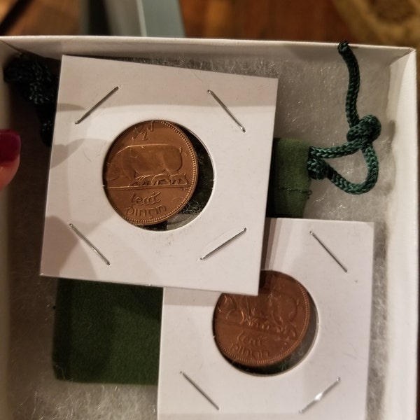 Irish 2P Two Pence Tuppence Coin With Bonus Coin FREE or Velvet Pouch ...