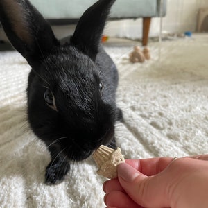 Bunny Waffle Treat All Natural Banana Treat for Rabbits - Etsy