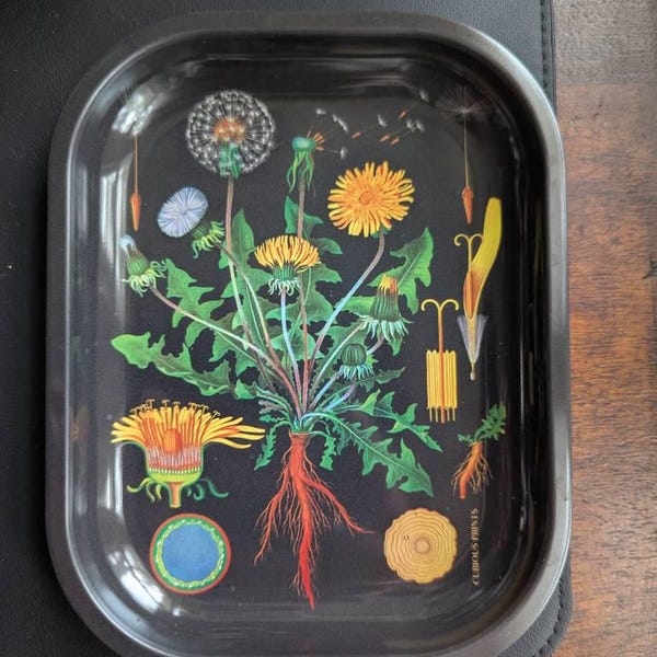 Small Metal Botanical Dandelion Trinket Tray / Vintage Print / Ritual ...