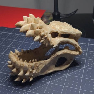 Diablos Skull monster Hunter - Etsy