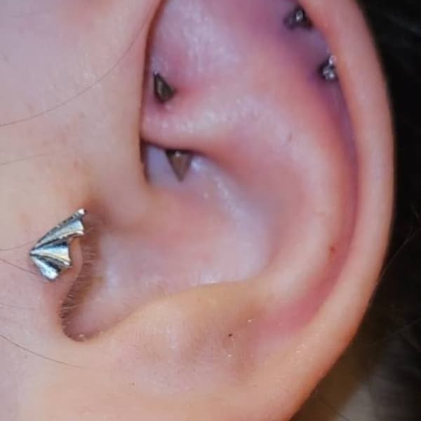 Gorilla Glass Solid Hive Cocoons 1/2 Inch or Larger Priced per Pair. - Etsy