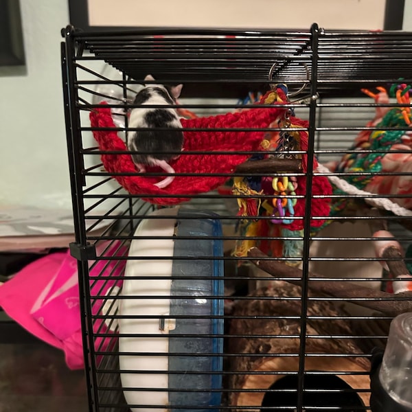 Mouse Hanging Hammock for Small Animals Cage Hammock for Multiple Mice ...