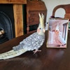 Ringneck Parrot Felted Miniature. Ringneck Replica. Rose-ringed ...