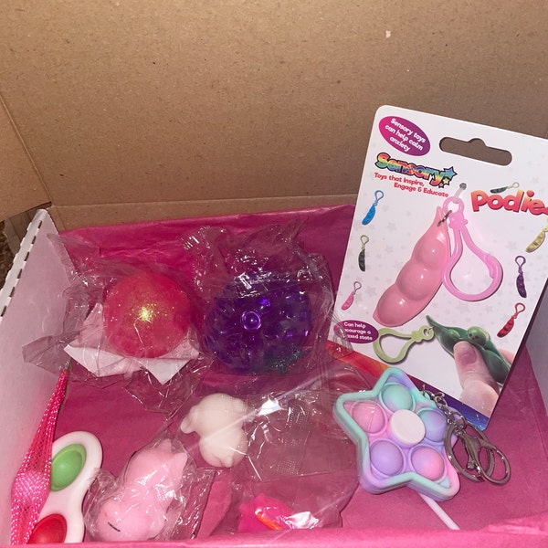Fidget Sensory Toy / Stim Toy / Fidget Bundle / Autism Sensory ...
