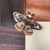 Papercraft 3D Moth Paper Emperor Moth Paper Bug Insect DIY Template ...
