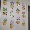 BOHO BOTANY Birthday Display, Birthday Chart, Plants Themed Classroom ...