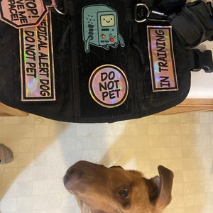 Officially Licensed Teenage Mutant Ninja Turtles Raphael Patch - Etsy