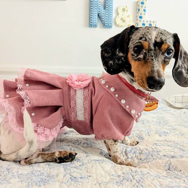 Dog Jumpsuit, Cute Yorkie Girl Outfit, Designer Small Dog Clothes ...