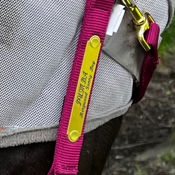 Custom Engraved 4" Solid Brass Halter Plate, Horse Tack Plate ...