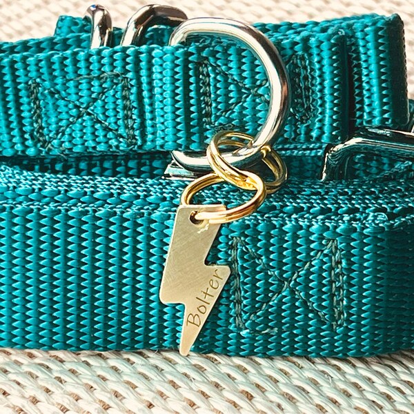 Engraved LIGHTNING BOLT Personalized Custom Pet ID Tags for Dogs and ...