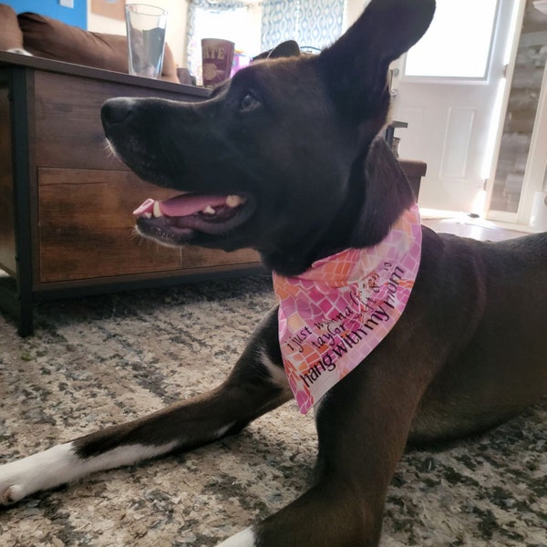 Taylor Swift Car Coaster, Taylor Swift Gift Ideas, Car Coaster , Dog ...