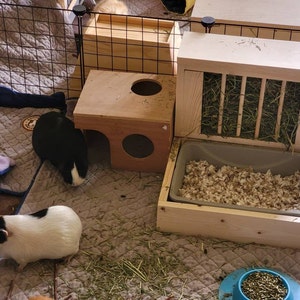 Rabbit Bunny Bowl Feeding Stand | Etsy
