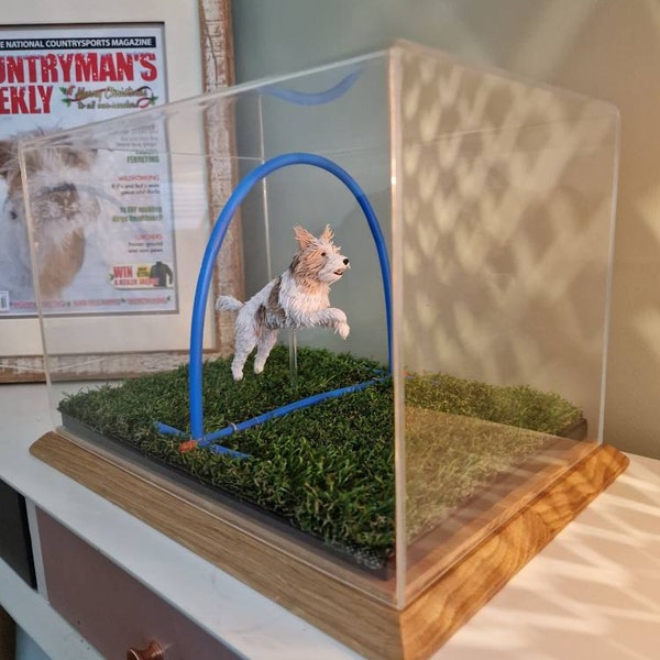 Tennis Ball Display Case With Custom Engraving - Etsy