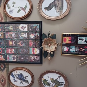 Occult Ornithology Tarot Deck and Guide Majors Only Deck Celebrating ...
