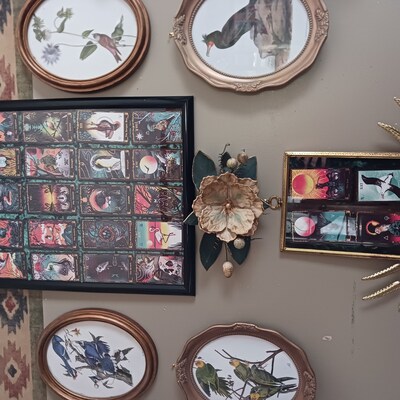 Occult Ornithology Tarot Deck and Guide Majors Only Deck Celebrating ...