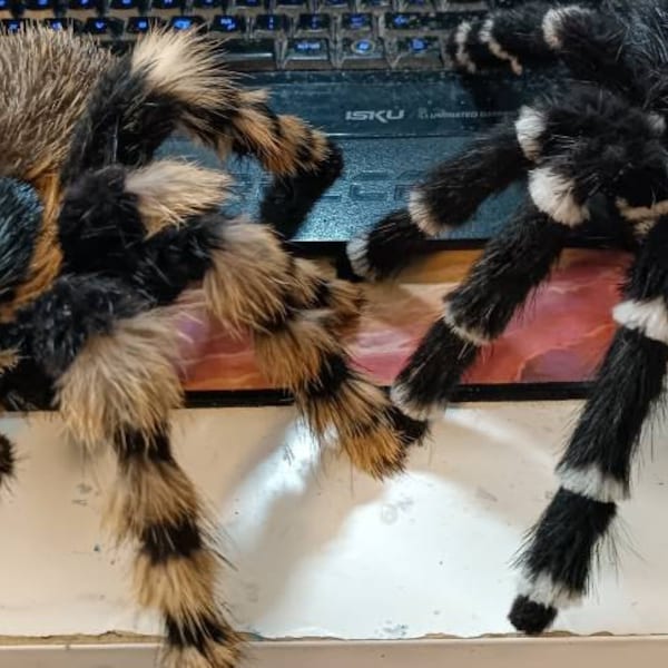 Realistic Tarantula Spider Poseable Shelf Decor Wall Mountable Faux ...