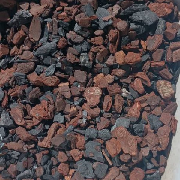 P2 1/2" Horticultural Charcoal - FAST SHIPPING - Many Sizes! - Etsy