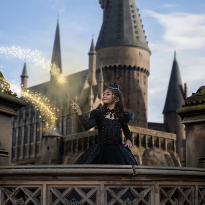 Hogwarts Digital Backdrop - Etsy