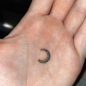 Octopus Tentacle Septum Ring Nose Ring Body Jewelry Sterling Silver ...