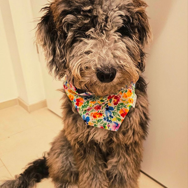 Floral Dog Bandanas, Mauve Floral Dog Bandana, Fabric Bandana, Fall Dog ...
