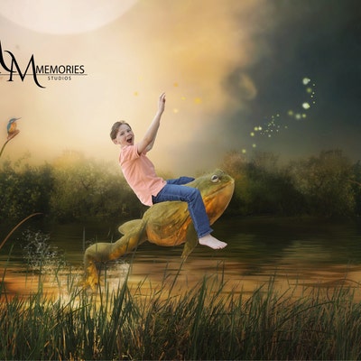 Snow White Inspired Digital Background , Backdrop for Photography ...