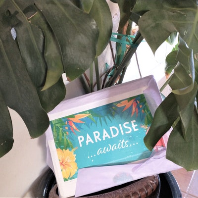 Chocolate Crave Box Hawaiian Gift Tropical Gift Hawaii Macadamia Made ...