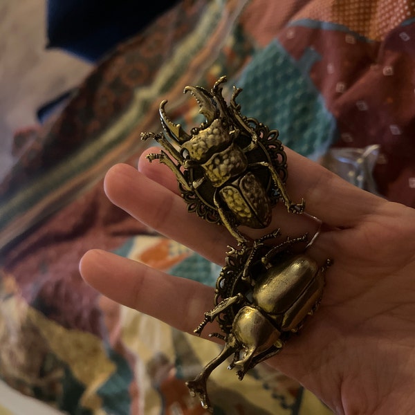 Unique Brass Beetle Knobs Insect Drawer Handles Animal Knobs Brass ...