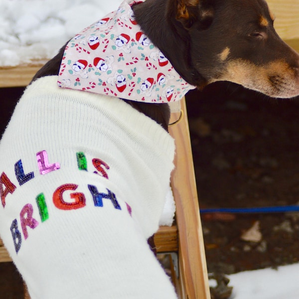 Blue Socks, Curved Neck Snap on Dog Bandana, Winter Pet Collar, Holiday ...