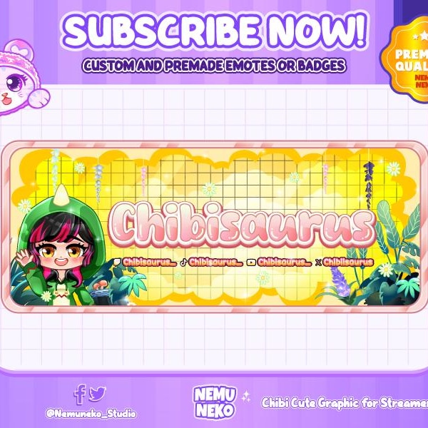 Custom Animated Facecam Overlay / Webcam Overlay in Cute Style or ...
