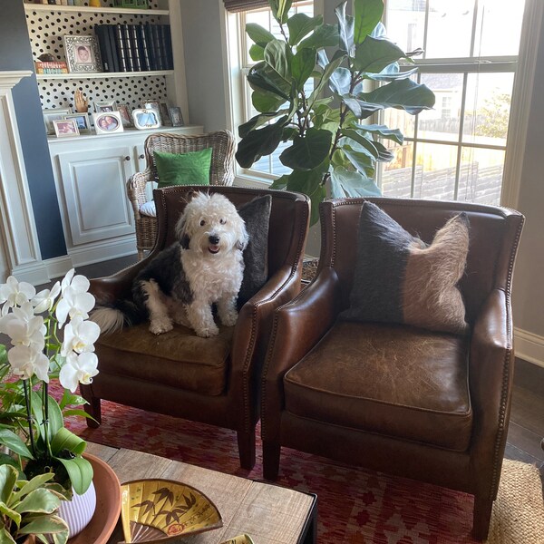 Custom Hanging Light Box, Cafe Sign, Business Sign, Ceiling Mounted ...