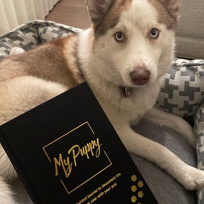 Puppy Journal : A Guided Journal to Document the First Year - Etsy