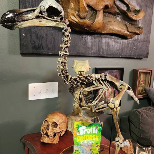 Dodo Bird Skeleton Replica Scientifically Accurate Sculpture Museum ...