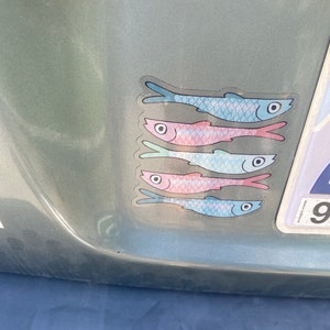 Lake Sturgeon Sticker - Etsy