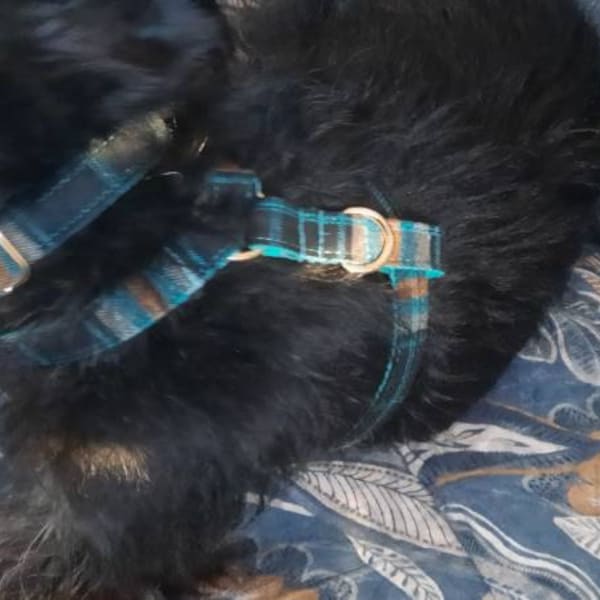 Personalized Laser Engraved Handmade Scotland Design Dog Collar or ...