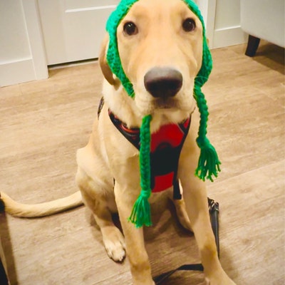 Corgi Beanie Dog Beanie Corgi Hats Dog Hat Dog Beanie Fur Baby Beanies ...