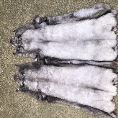 Genuine Blue Fox Fur Pelt, Super Supple and Lavish as a Fur Stole or ...
