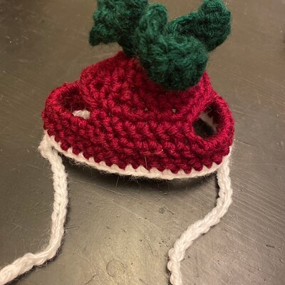 Veggie Crochet Pattern for Pets, Crochet Pattern, Cat Hat Pattern ...