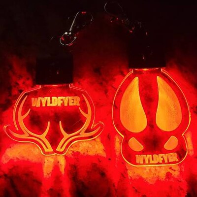 Personalized LED Dog Tag Light up Dog Tag Color Changing Stocking ...