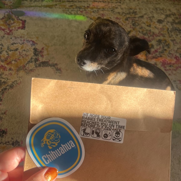 Animal Control Officer (female) Blue Like Sticker - Etsy