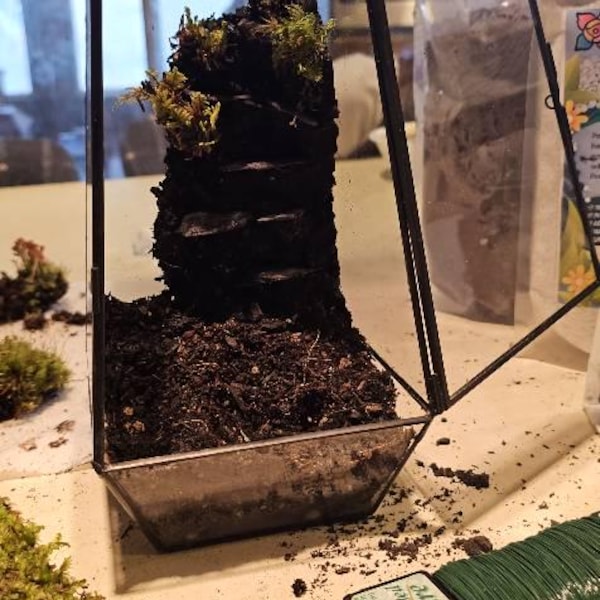 Modeling Soil Adhesive for Vertical Moss Art | Nutrient Base That Bonds ...