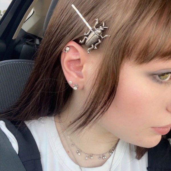 Insect Hair Pins, Insect Jewelry, Cockroach Hair Pins, Fly Hair Pins ...