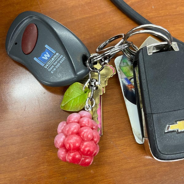 Handmade Big Blueberry Keychain, Blueberry Bag Charm, Berry Purse Charm ...