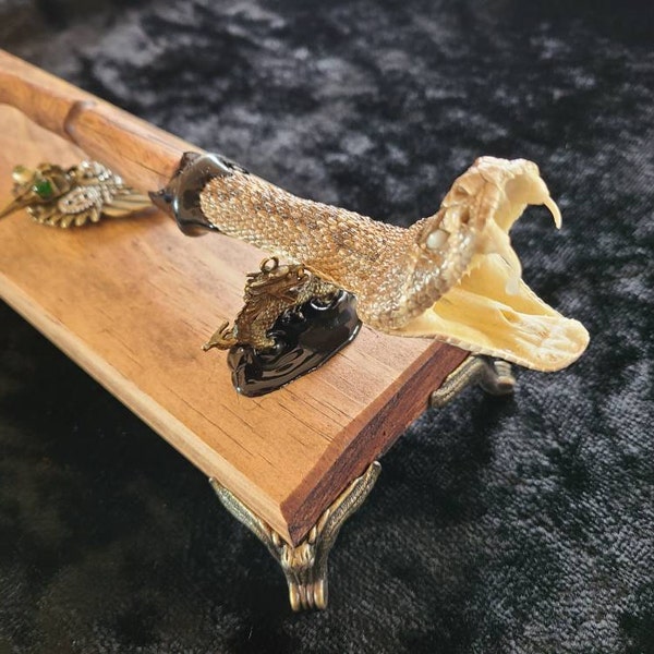 Trophy Hunter Western Diamondback Rattlesnake Head on a Plaque - Etsy