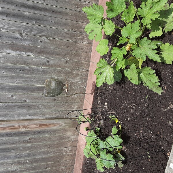 Largemouth Bass Metal Garden Stake, Fisherman Gift, Lake Fish Metal Art ...