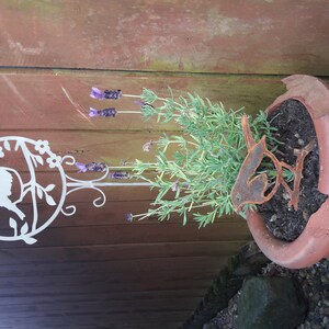 Rustic Rusty Metal Fern Leaf Sculpture Art Flower Garden - Etsy