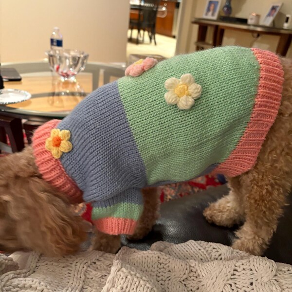 Little Bear Dog Sweater,soft Beige Dog Sweater,cat Sweater, Lightweight ...