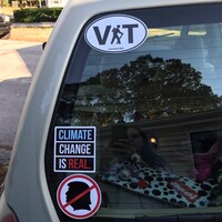 Vermont Catamounts Sticker // UVM // University of Vermont // VCAT ...